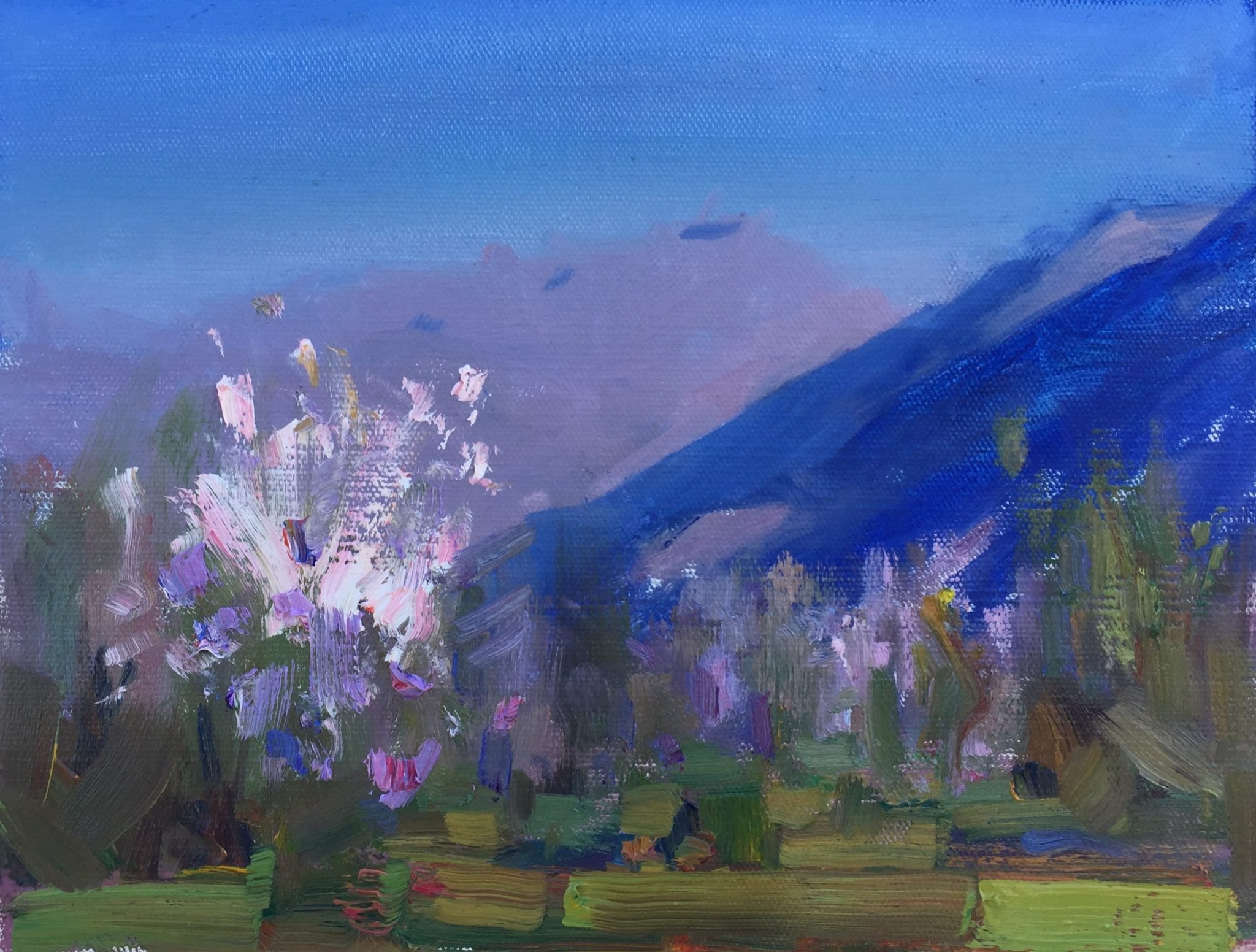 Plein air painting in Montenegro with Barry John Raybould